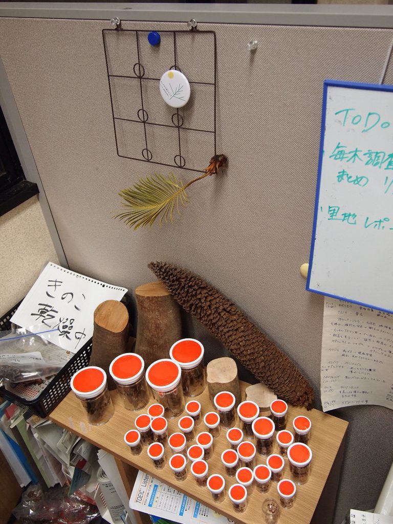 薔薇色の日々 – アルファガーデン